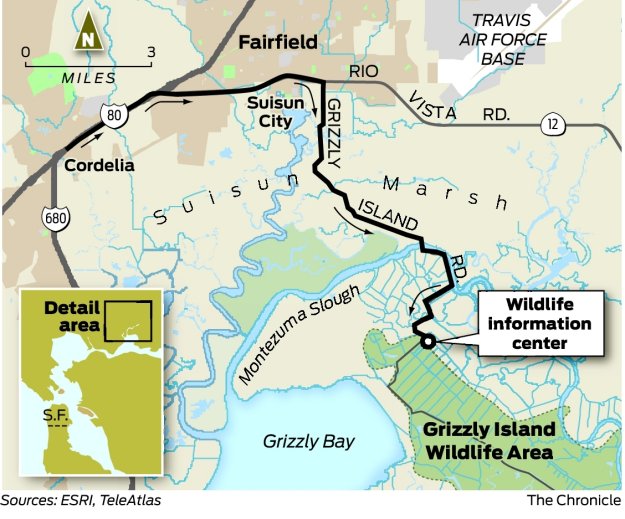 Are Dogs Allowed At The Grizzly Island Wildlife Area