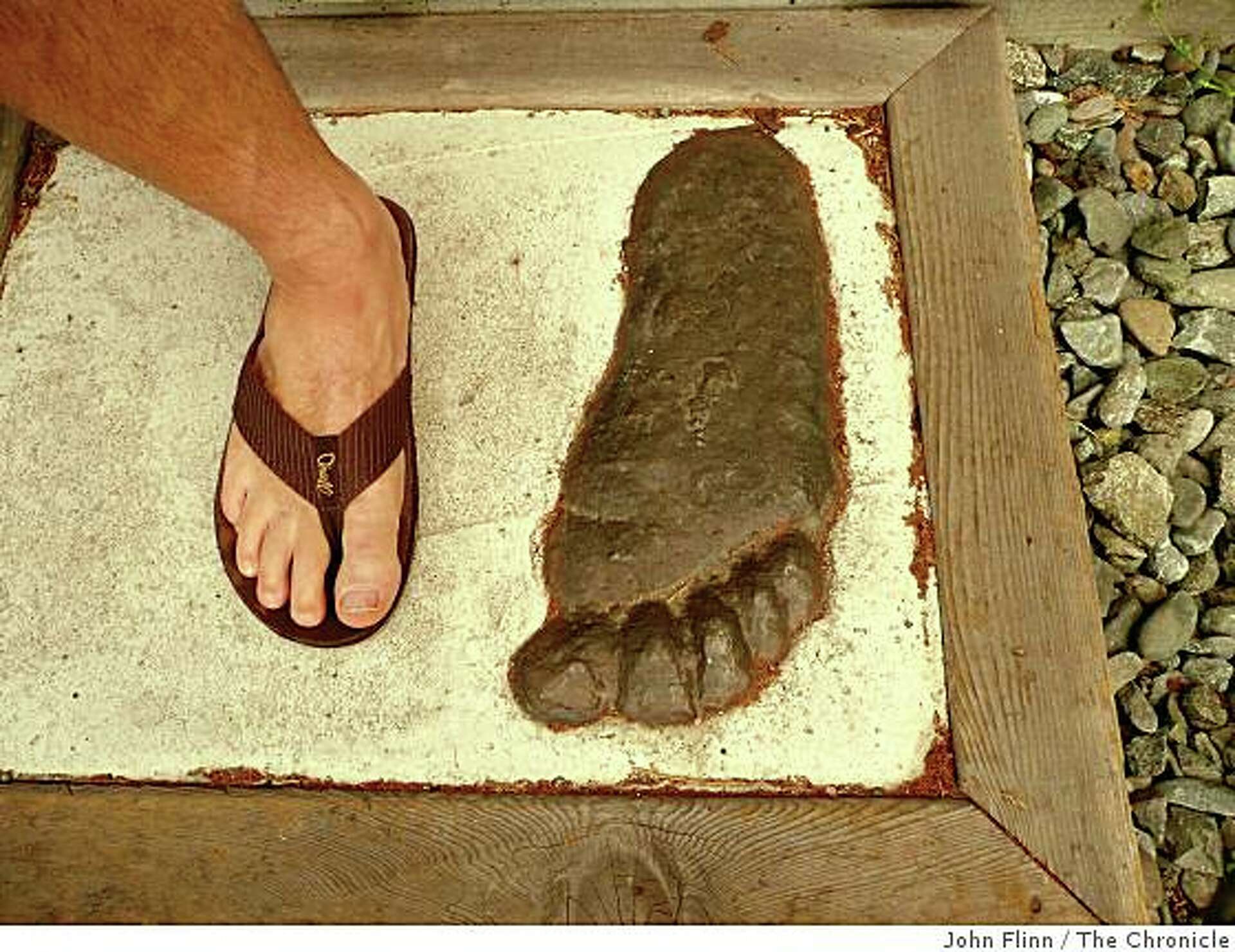 Hunt for Bigfoot near Trinity River