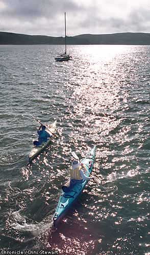 Two if by Sea: Sea Kayaking in and around Point Reyes National Seashore