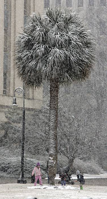 Snow falls from sea to shining sea