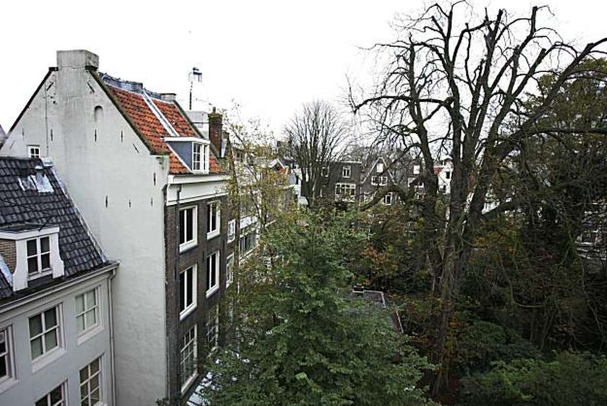 Anne Frank's chestnut tree saved