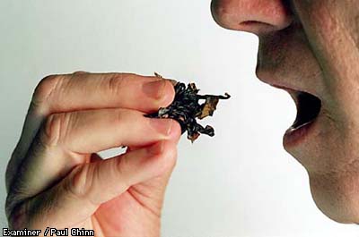 "Spit' tobacco stains image of pro baseball