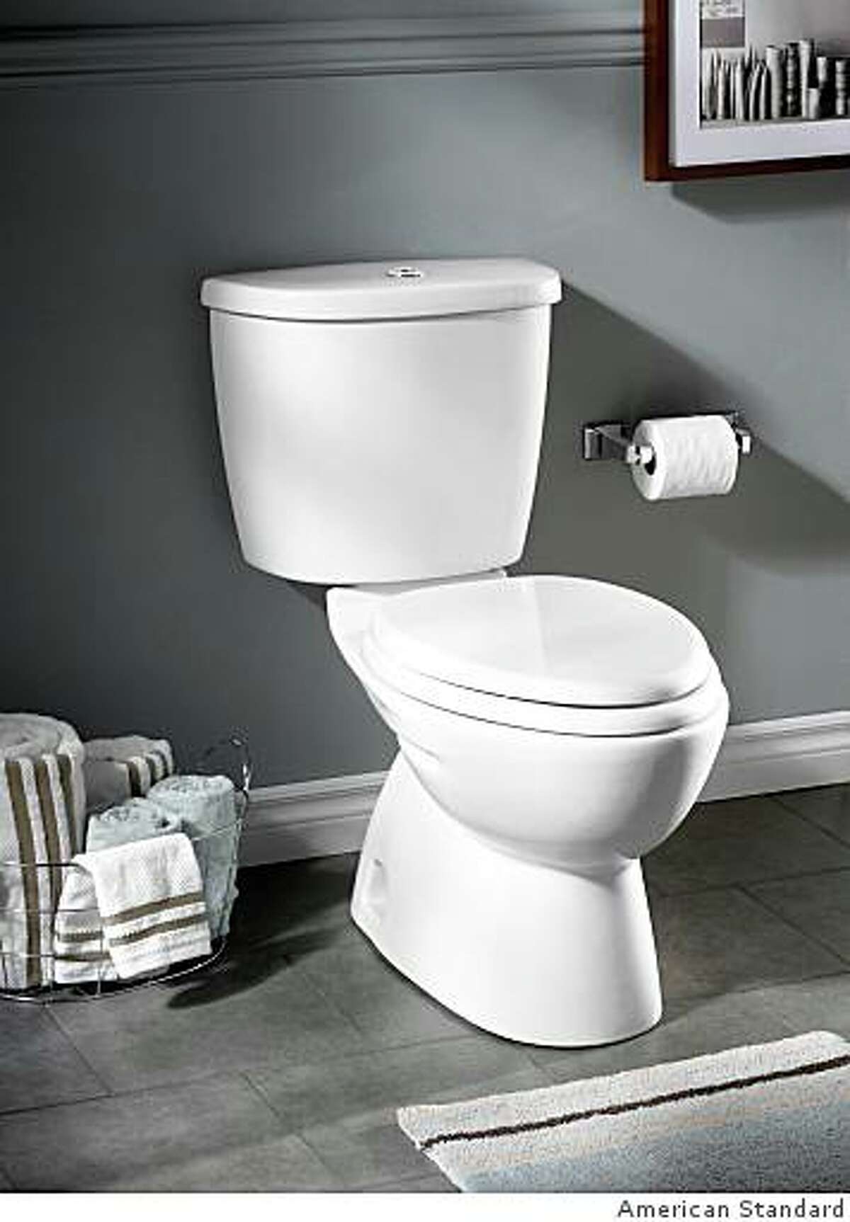 Around the House: Flo-Wise toilet