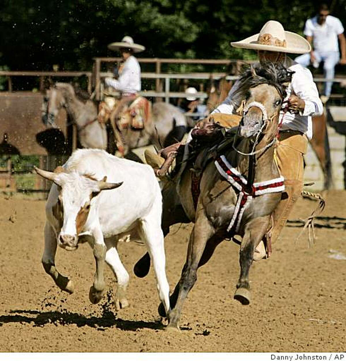 Charrreada is not for the faint of heart