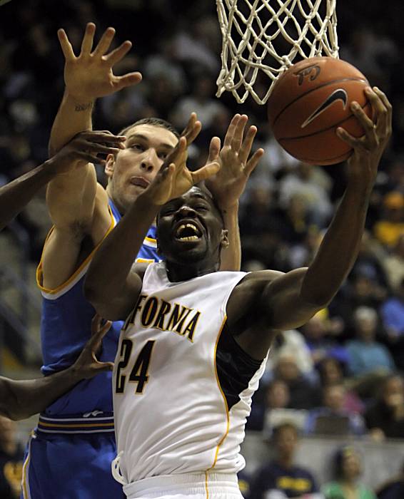 Cal rolled at home by UCLA