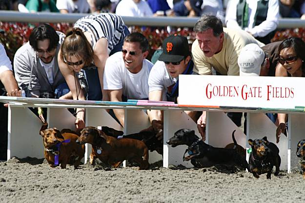 Don't miss: Wiener Nationals