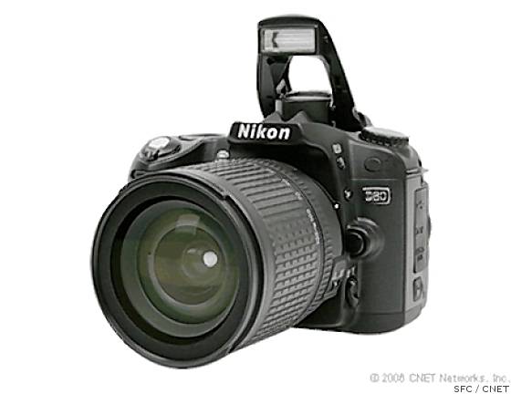 Nikon nirvana: Which digital single-lens reflex camera?