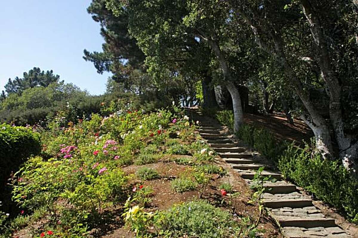 The Walk-Through: 1 Via Vandyke, Mill Valley