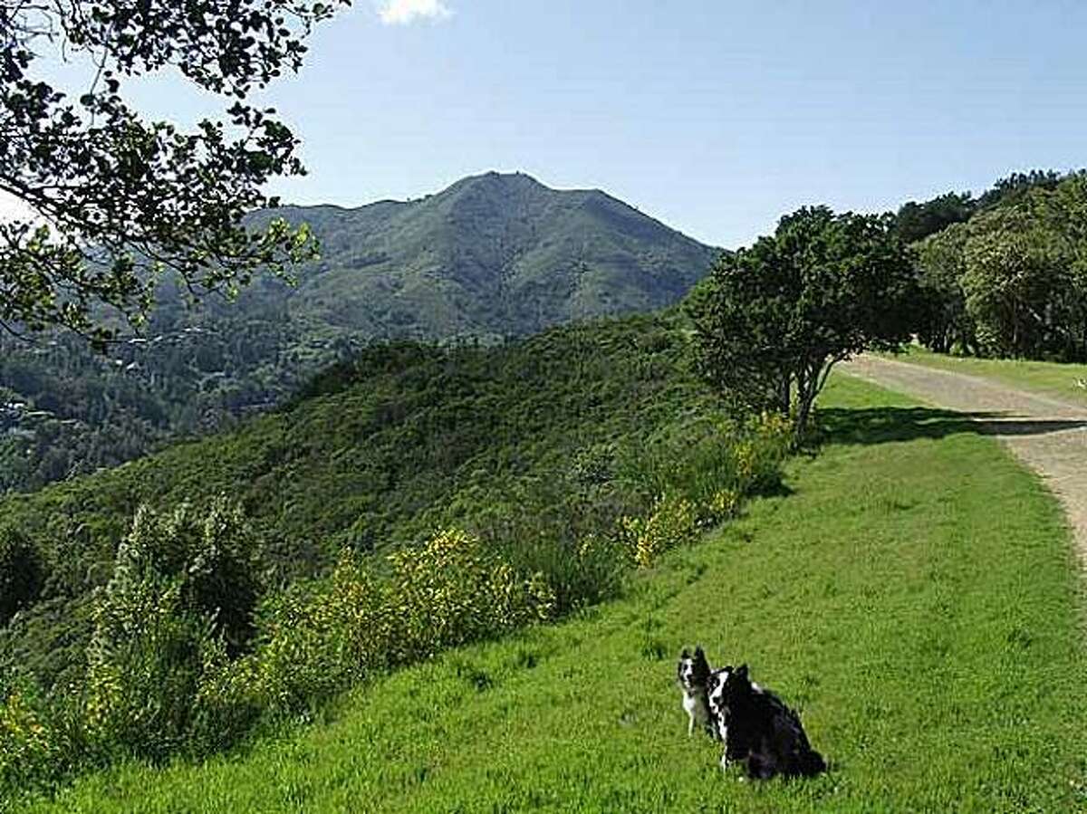 The Walk-Through: 1 Via Vandyke, Mill Valley