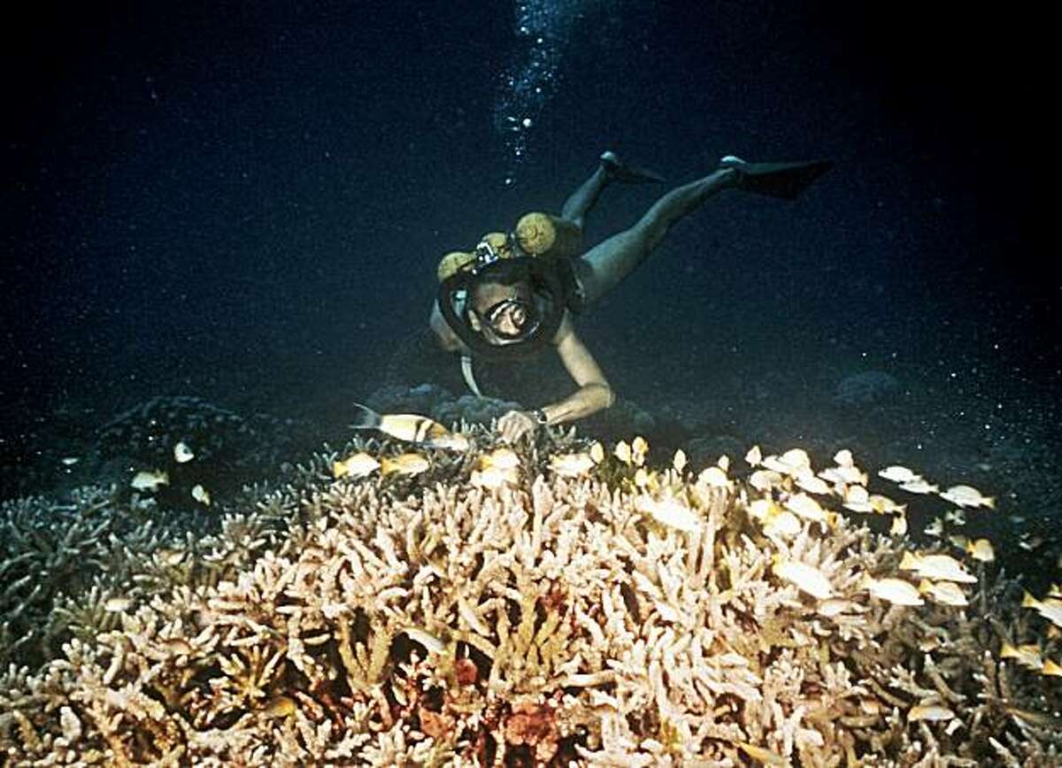 'Jacques Cousteau,' by Brad Matsen