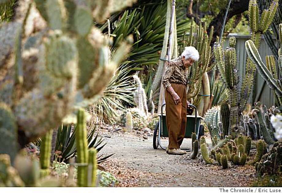 Ruth Bancroft: Nearly 100 years and counting - SFGate