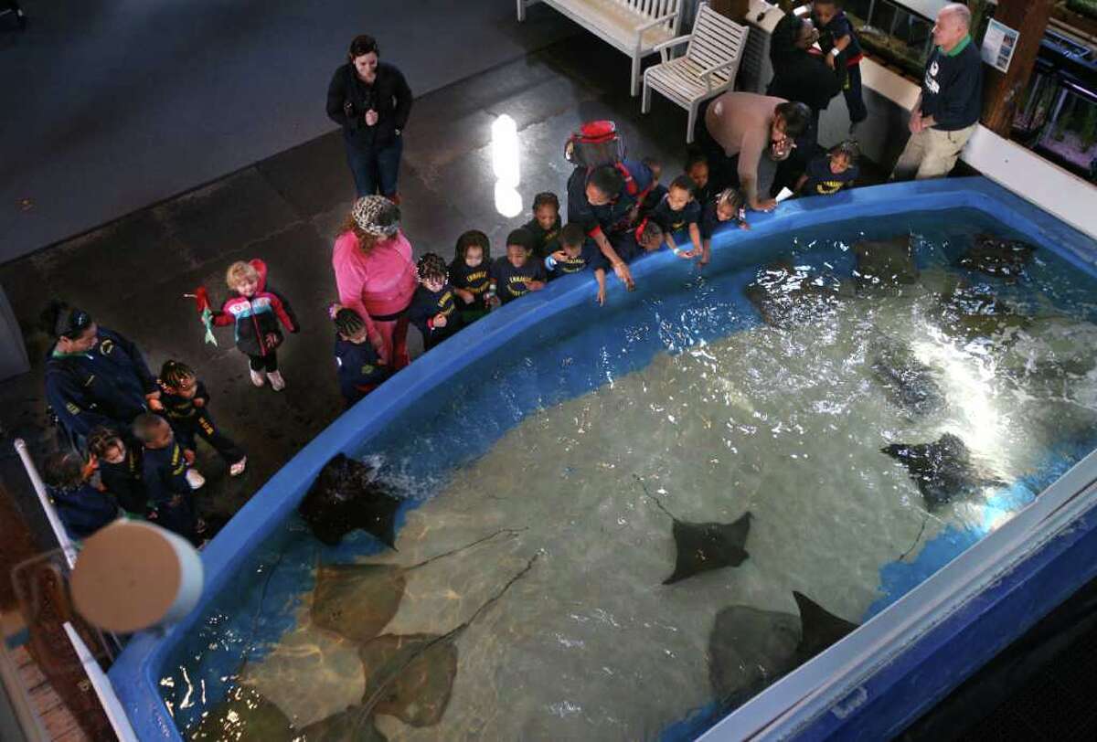 Norwalk's Maritime Aquarium to unveil its 'FINtastic RefurbFISHment'