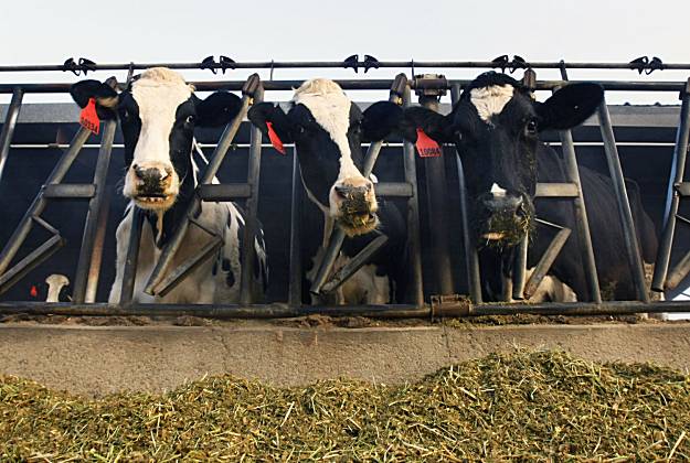 Boxer says milk subsidy unfair to state farmers