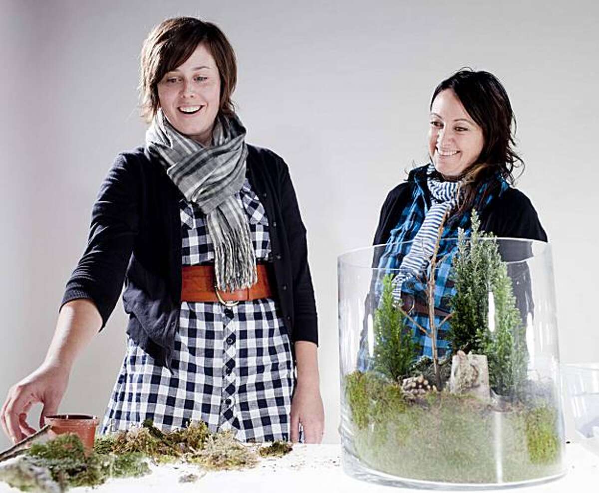 Do-it-yourself arrangements festive, rewarding