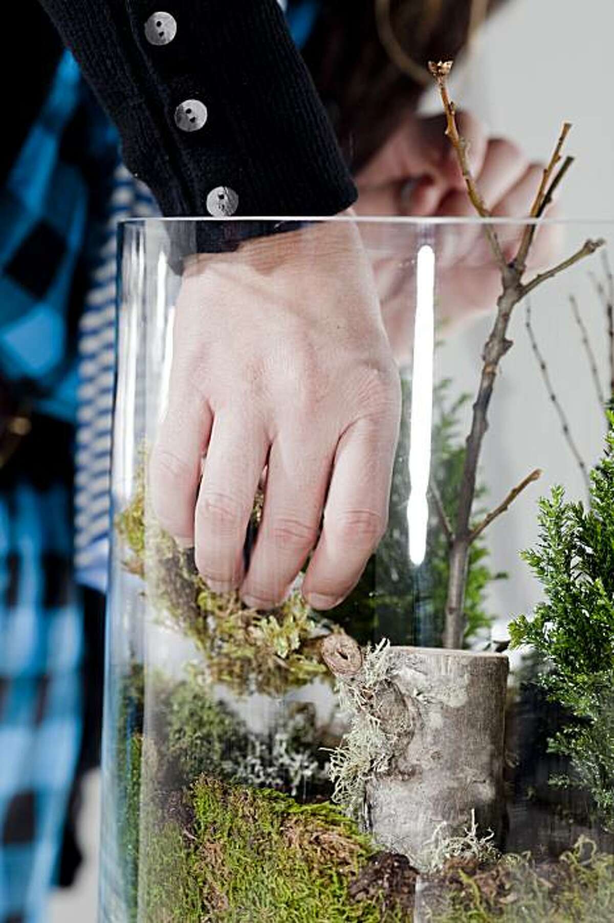 Do-it-yourself arrangements festive, rewarding