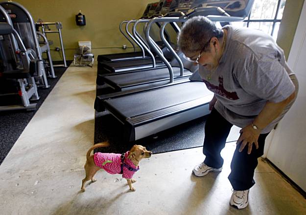Gym gives dogs place to play as owners exercise