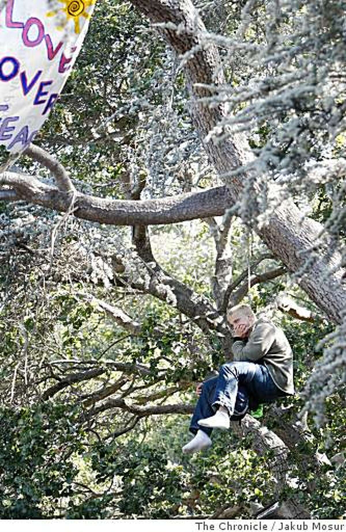 Protesters arrested at Cal stadium grove as crowd awaits court ruling