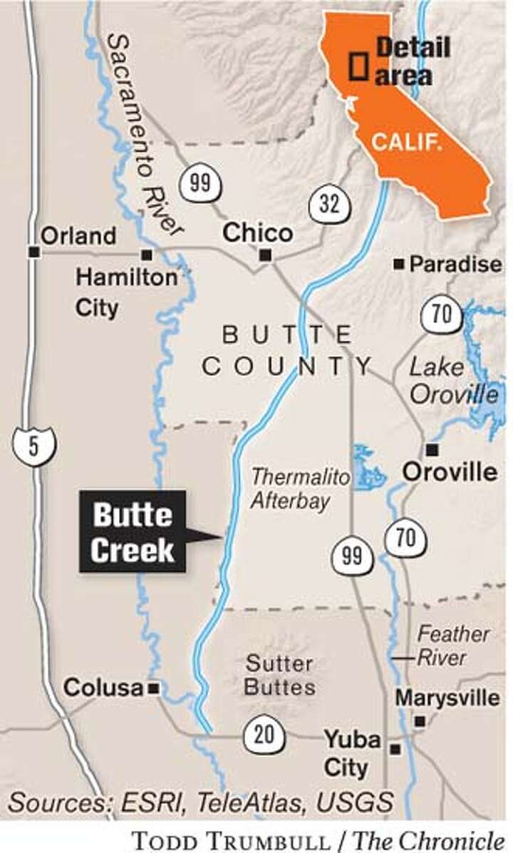 Salmon resurgence in Butte County