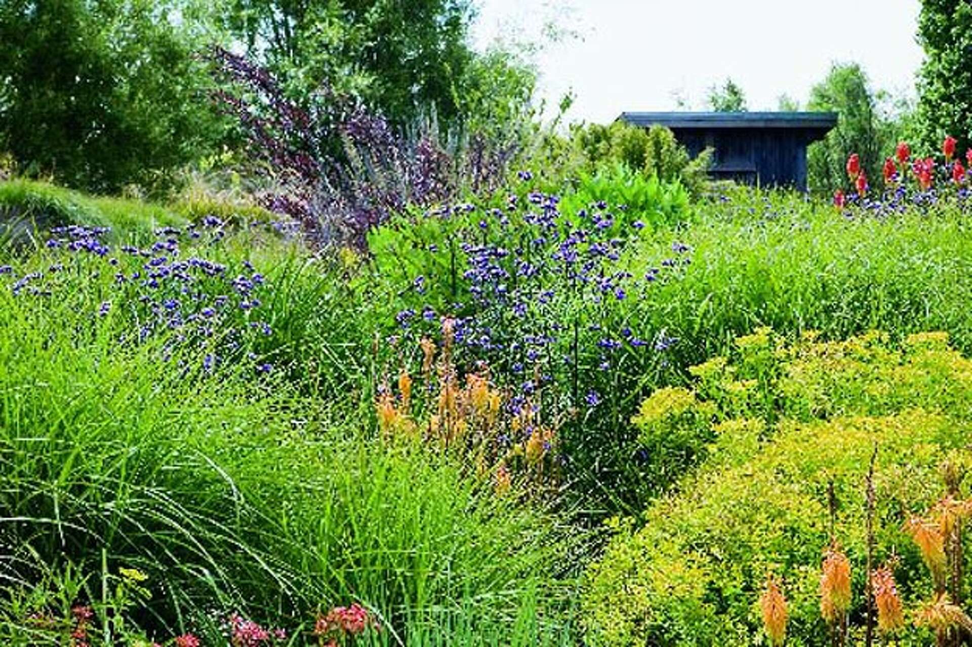 Greenlee pushes 'The American Meadow Garden'