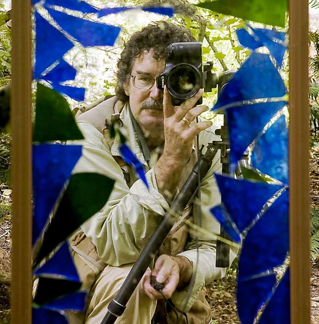 Greenlee pushes 'The American Meadow Garden'