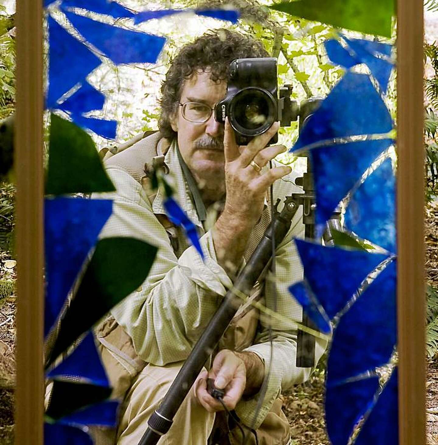 Greenlee pushes 'The American Meadow Garden'