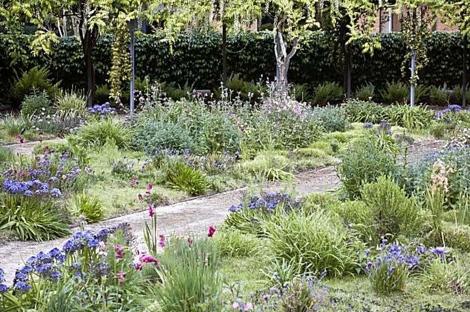 Greenlee pushes 'The American Meadow Garden' - SFGate