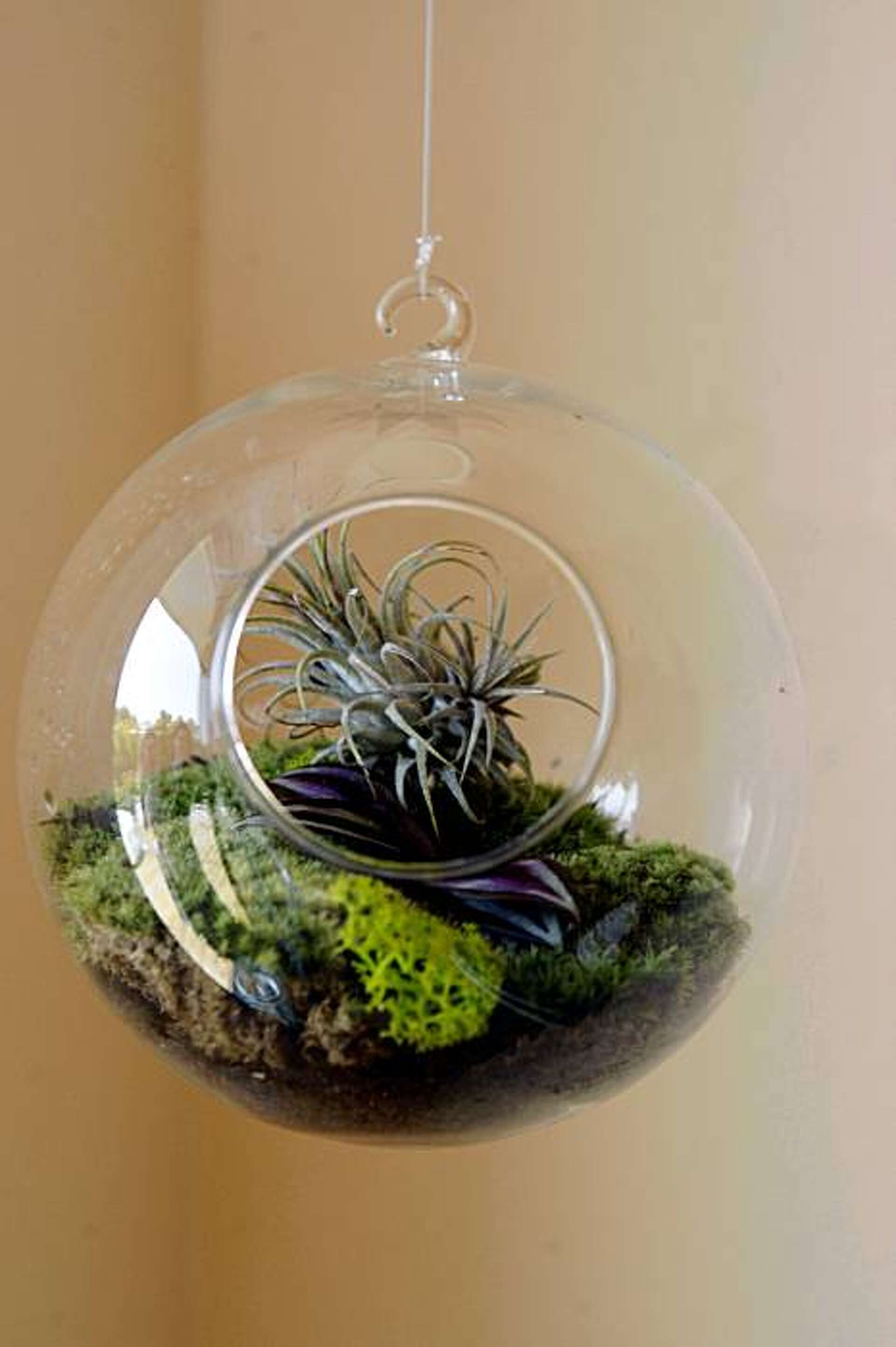 Gardening under glass
