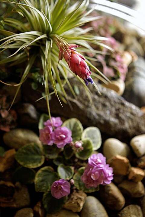 Gardening under glass