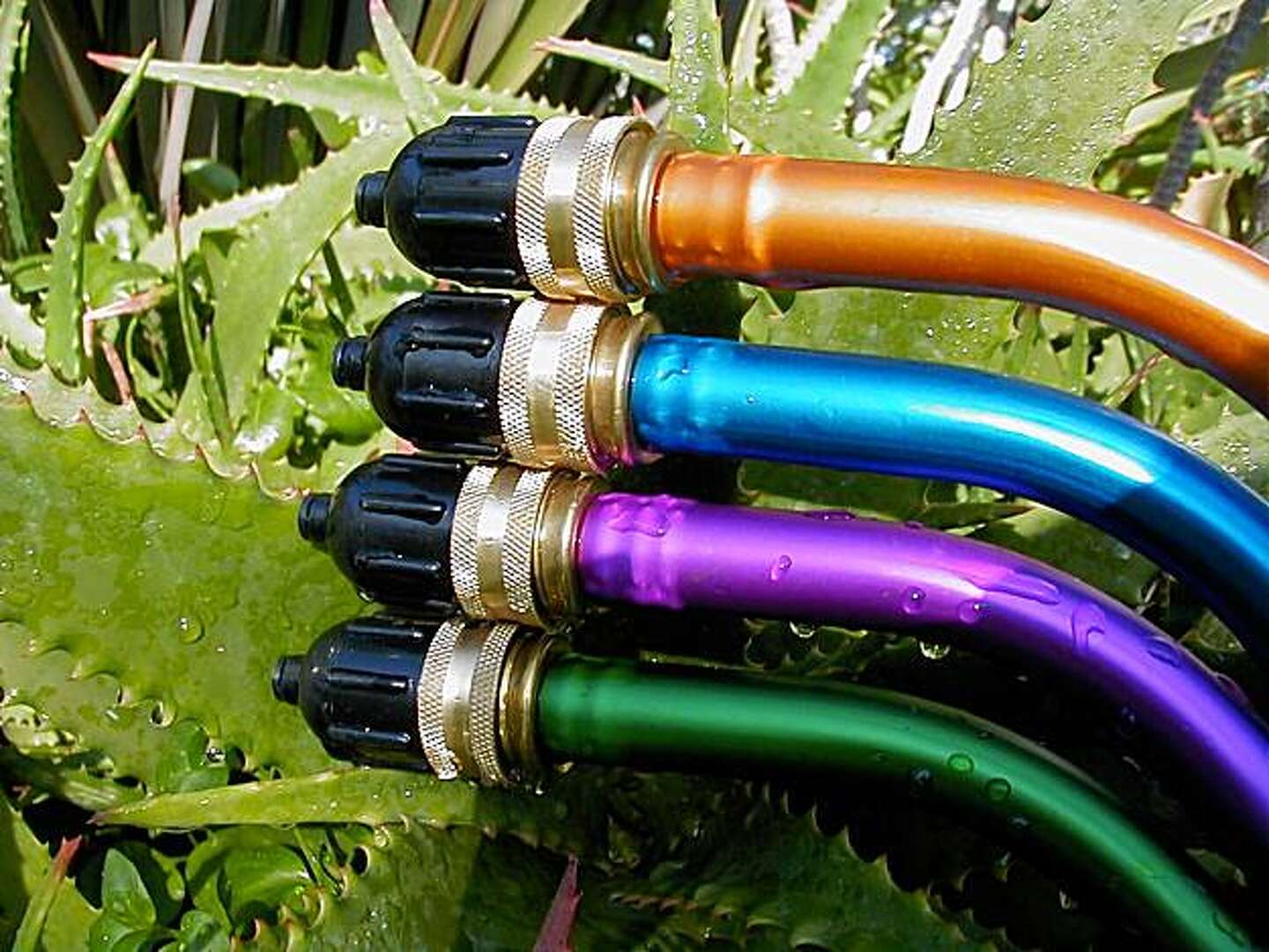 5 must-have gardening tools