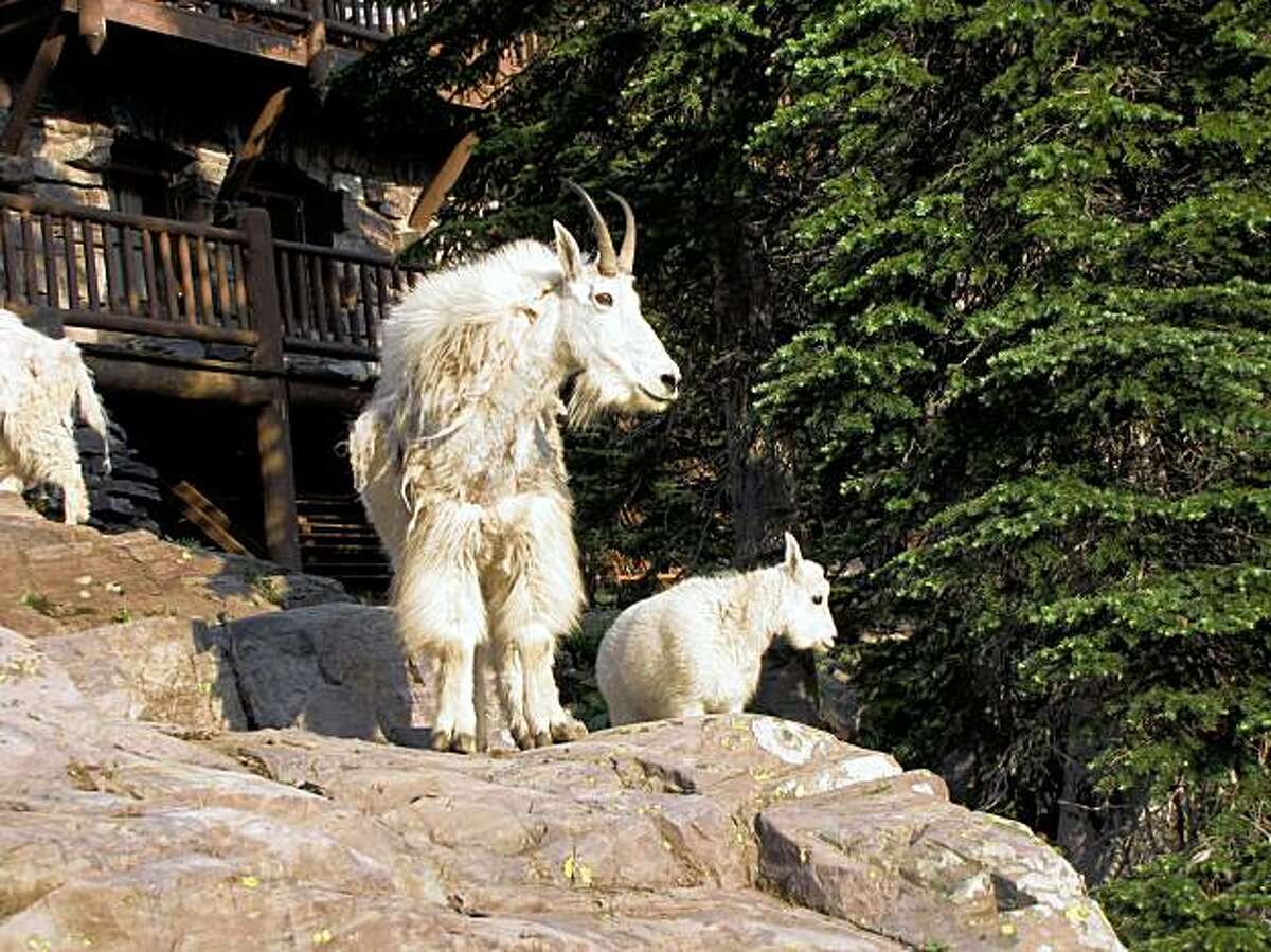 Sperry Chalet: $285 a night, no flush toilet