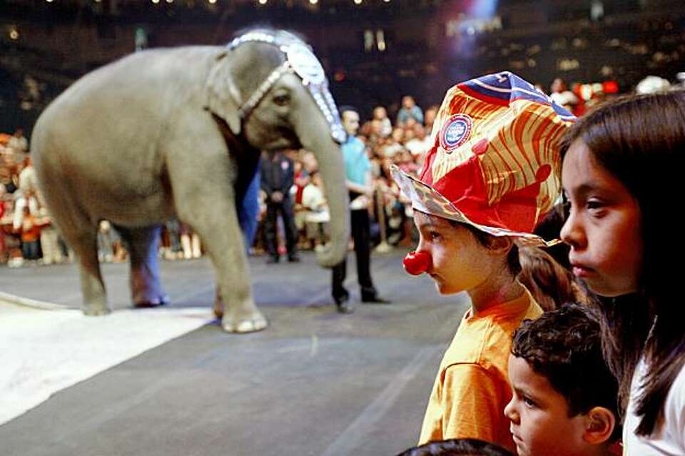 S.F. board votes to ban wild, exotic animal performances in city