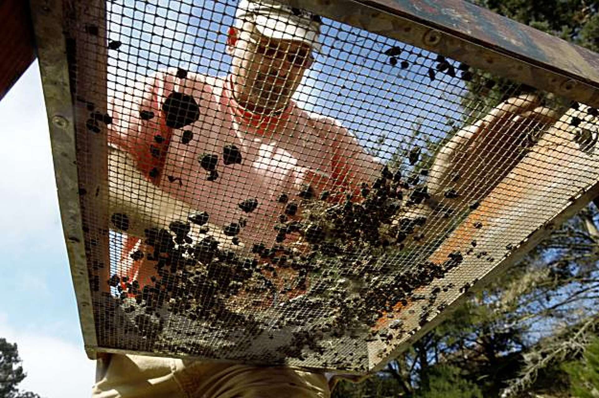 Digging up clues to history at S.F.'s Presidio