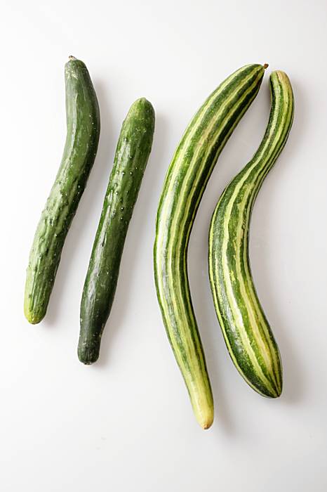Cucumbers with an Old World heritage