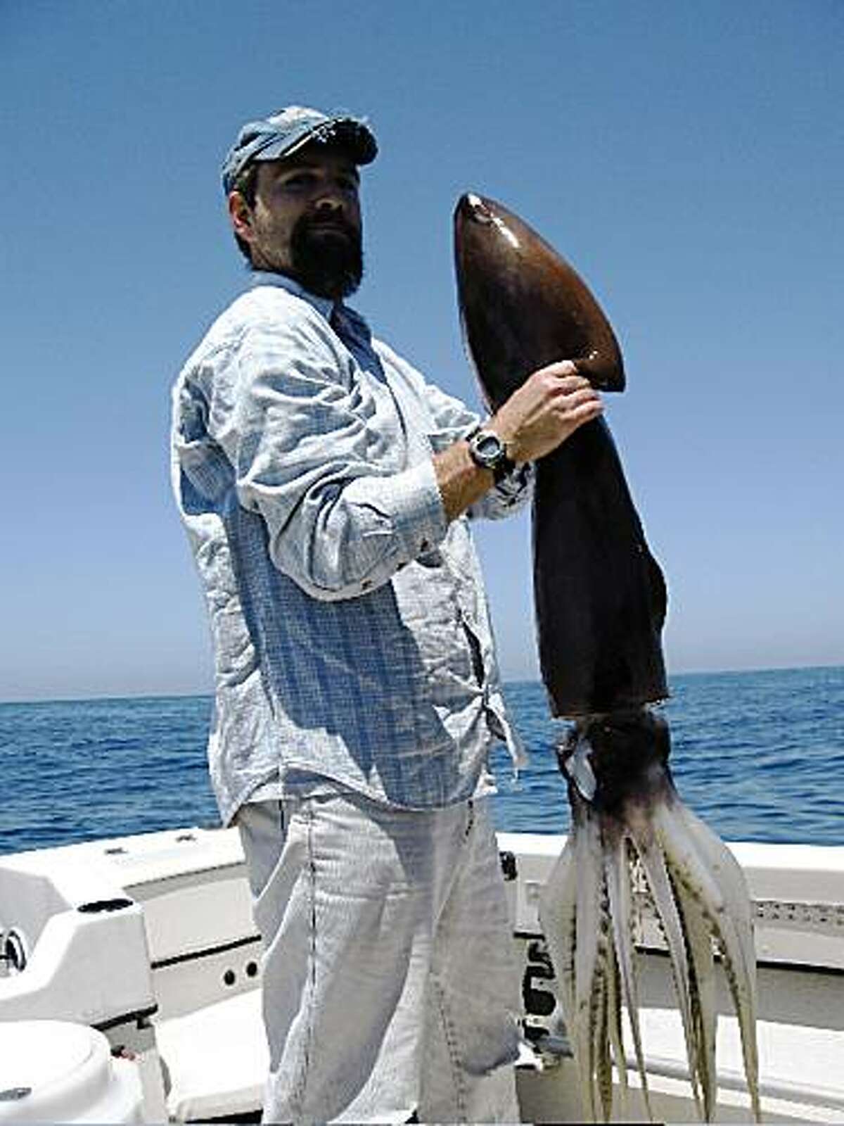 Aggressive jumbo squid spook San Diego divers