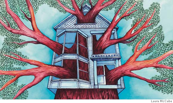 A Tree Grows in the Haight-Ashbury