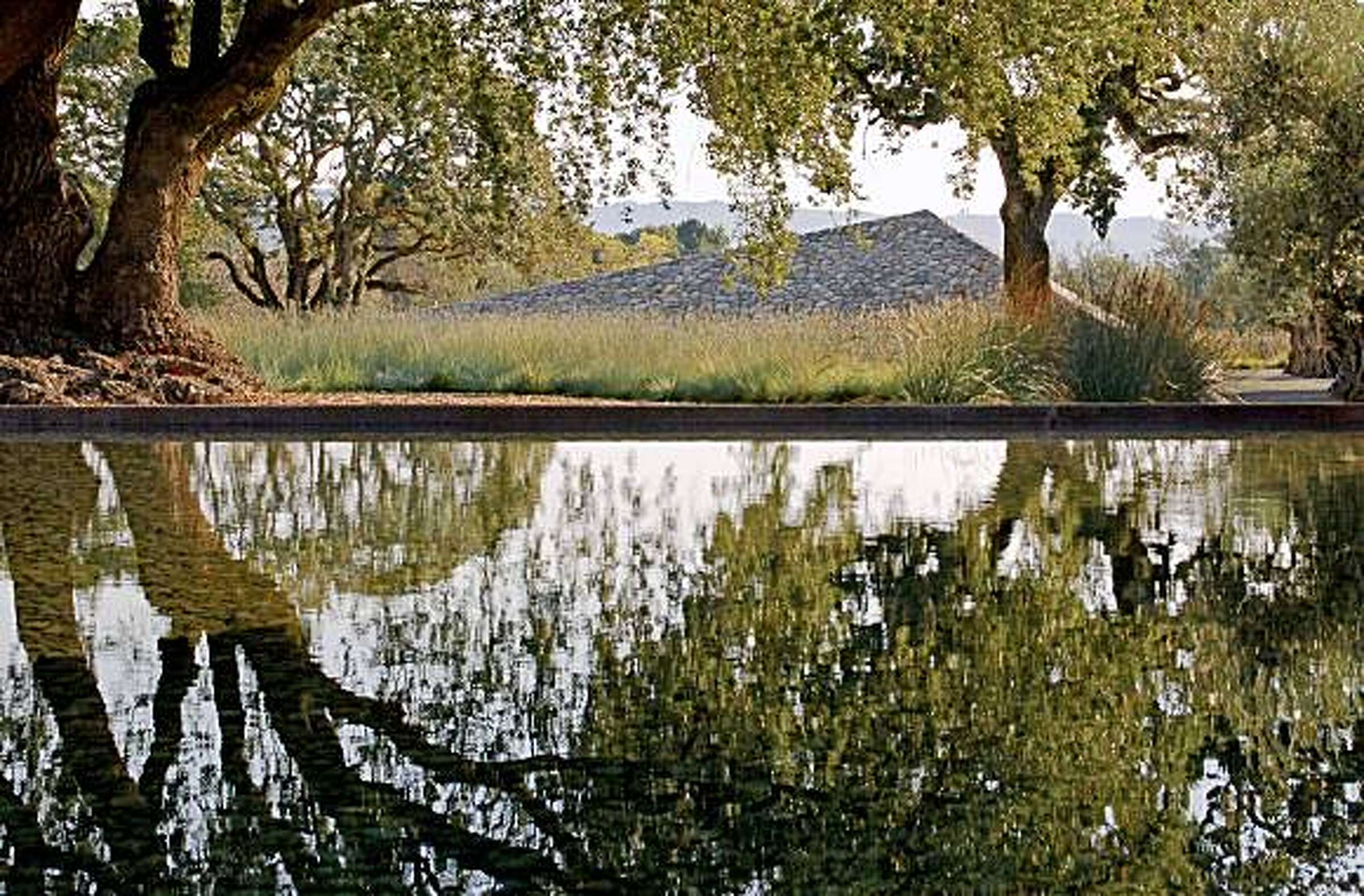 Andrea Cochran: Landscapes for our times