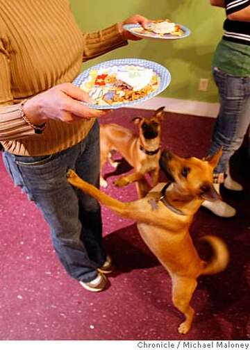 Happy woof-day to you, my furry kid