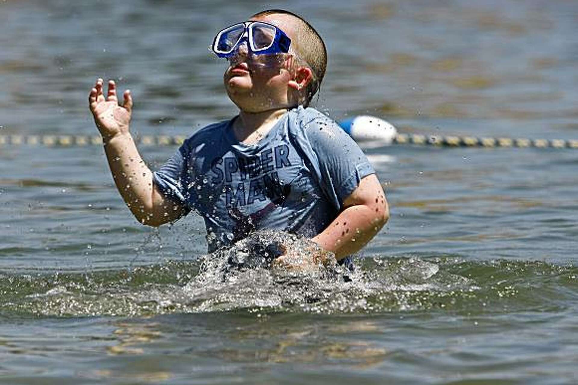 Shadow Cliffs Regional Recreation Area