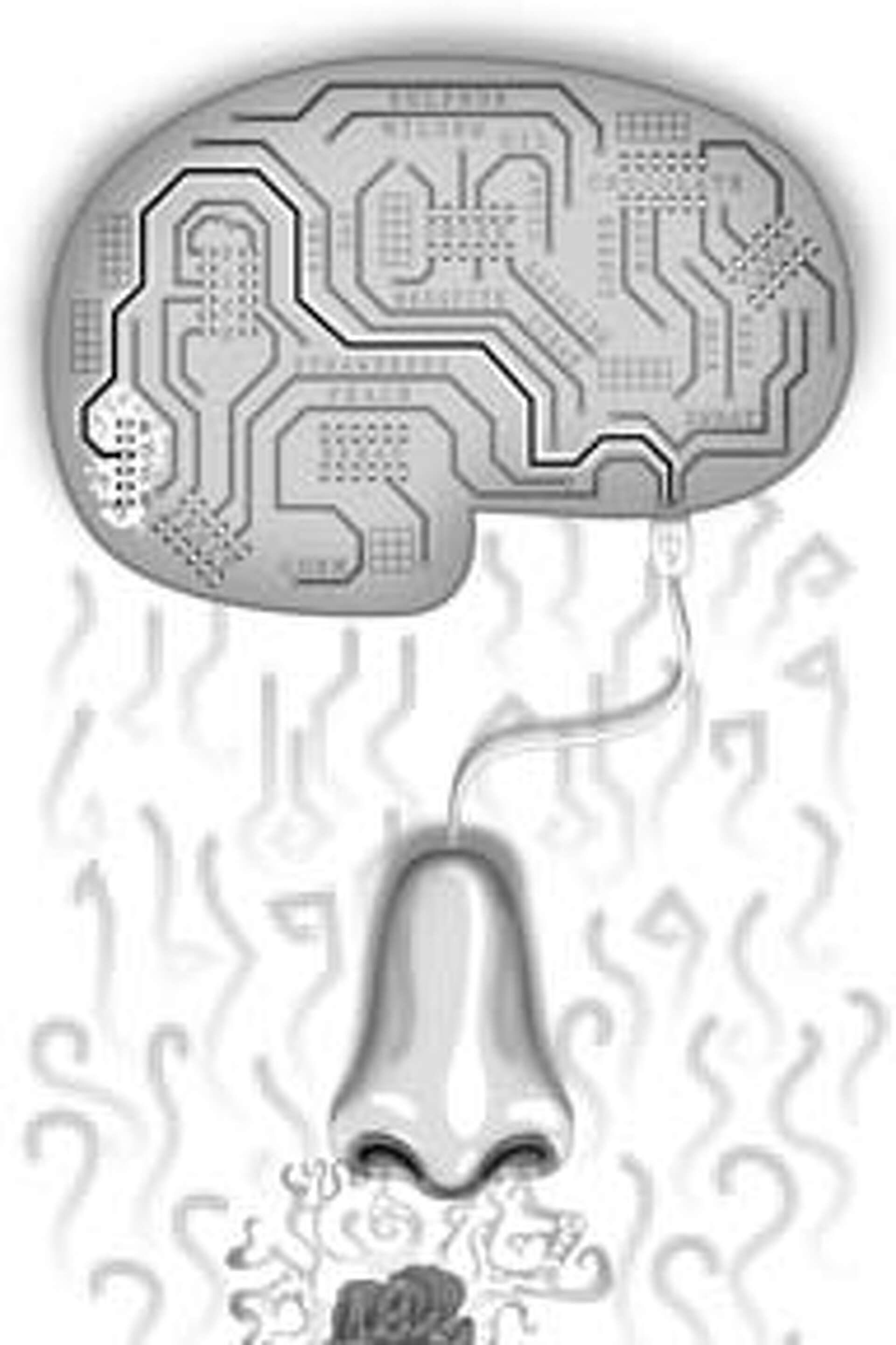 Can a computer have a sense of smell?