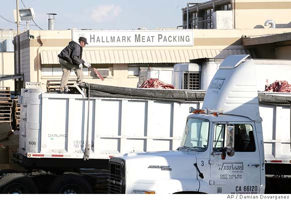 Government orders biggest-ever U.S. beef recall