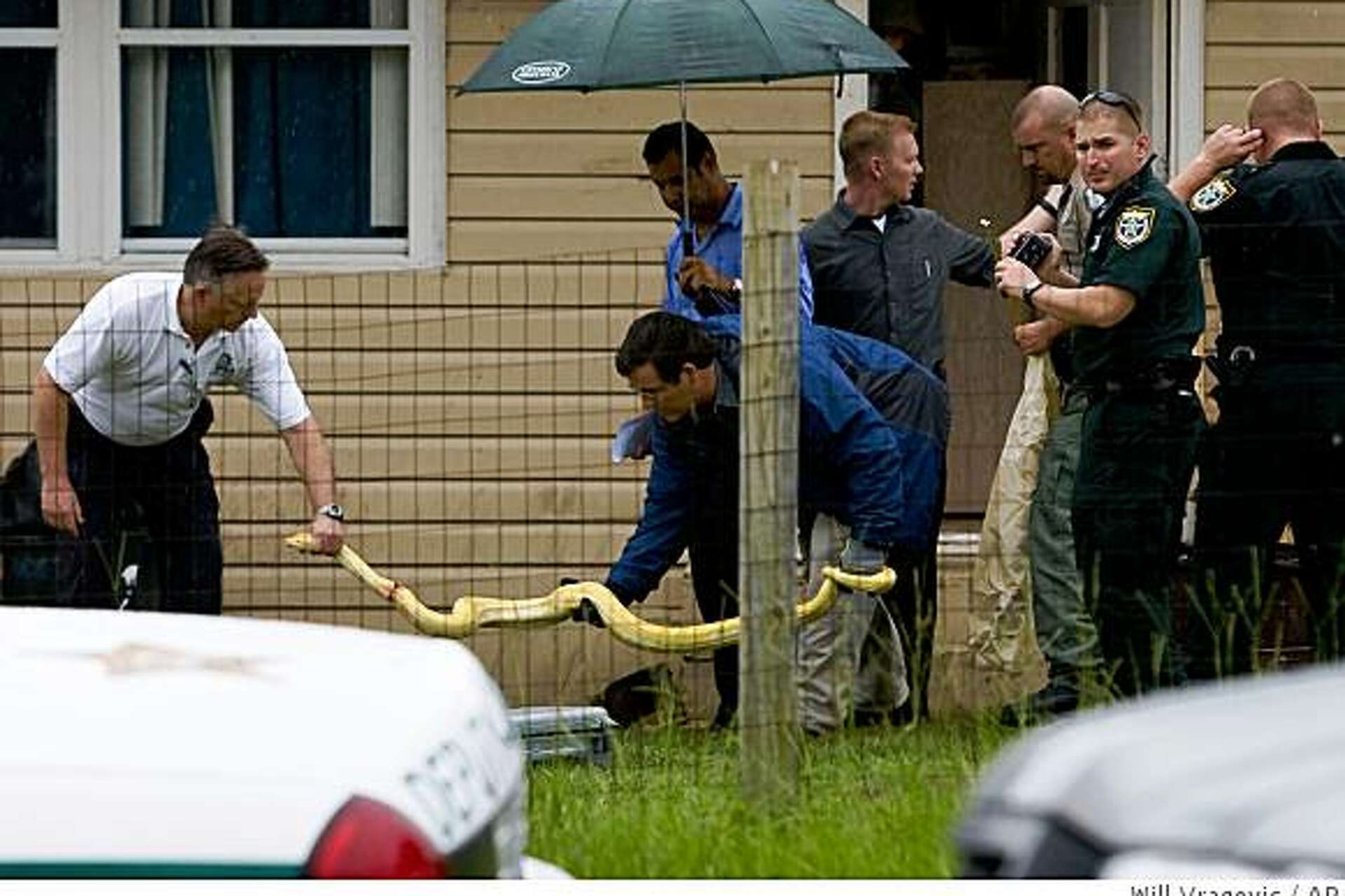 Python kills 2-year-old in Florida