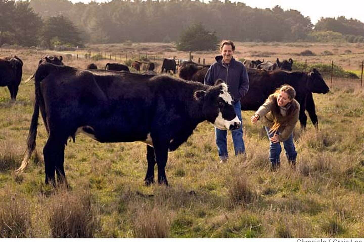 Meat pioneer Niman Ranch being sold to chicken giant Perdue