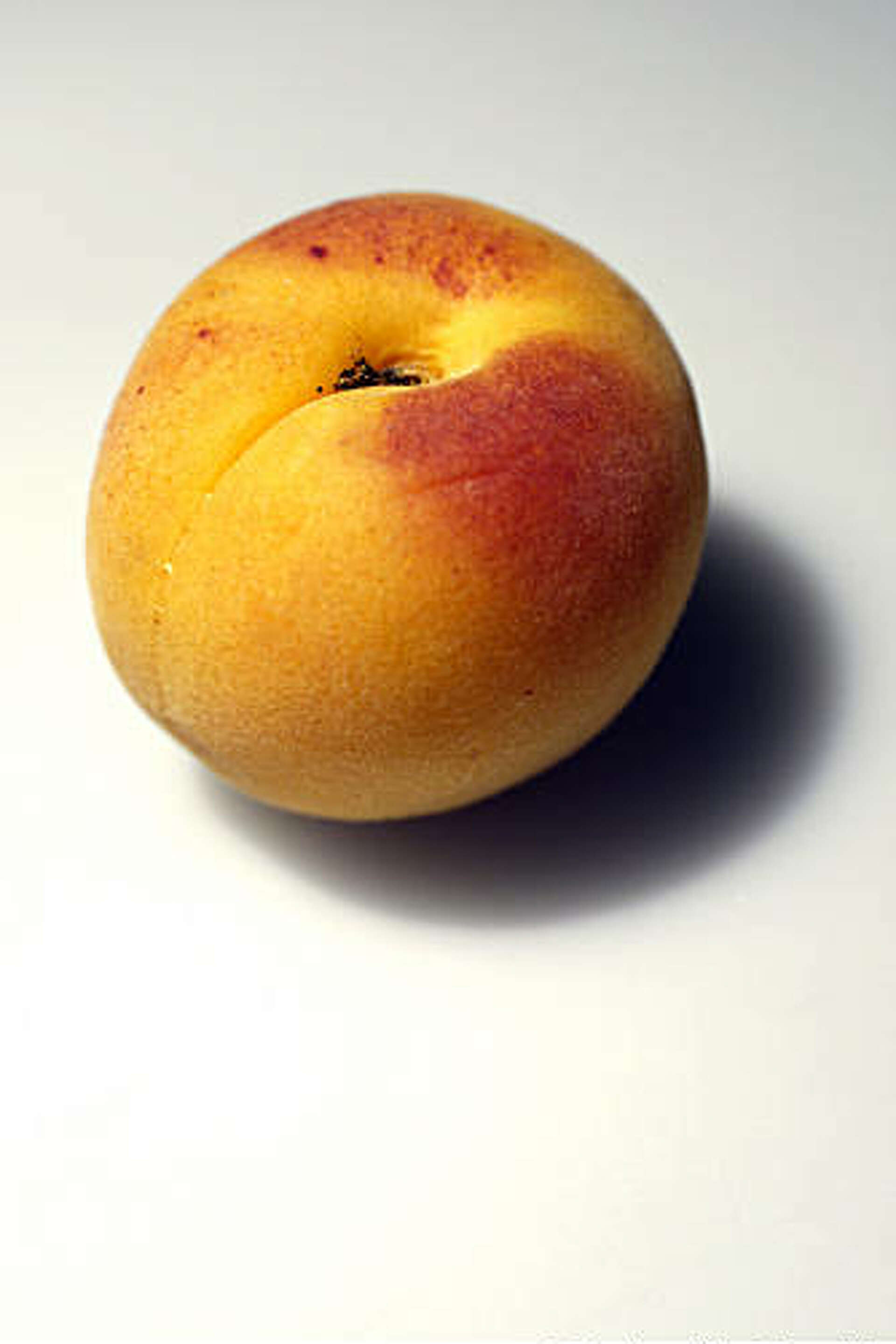 Apricot season short and sweet