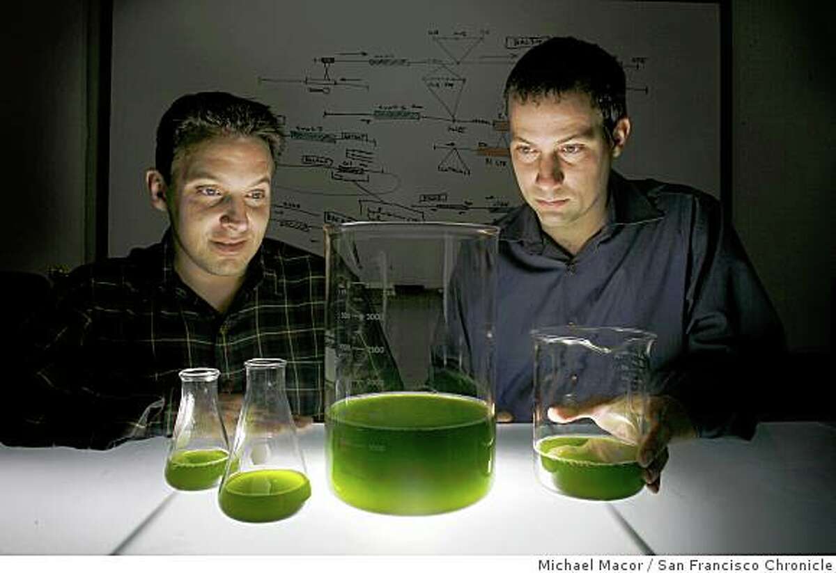 Startup teams with Chevron on algae fuel