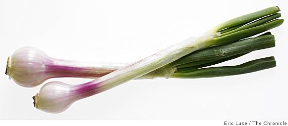 Seasonal Cook: Spring onions