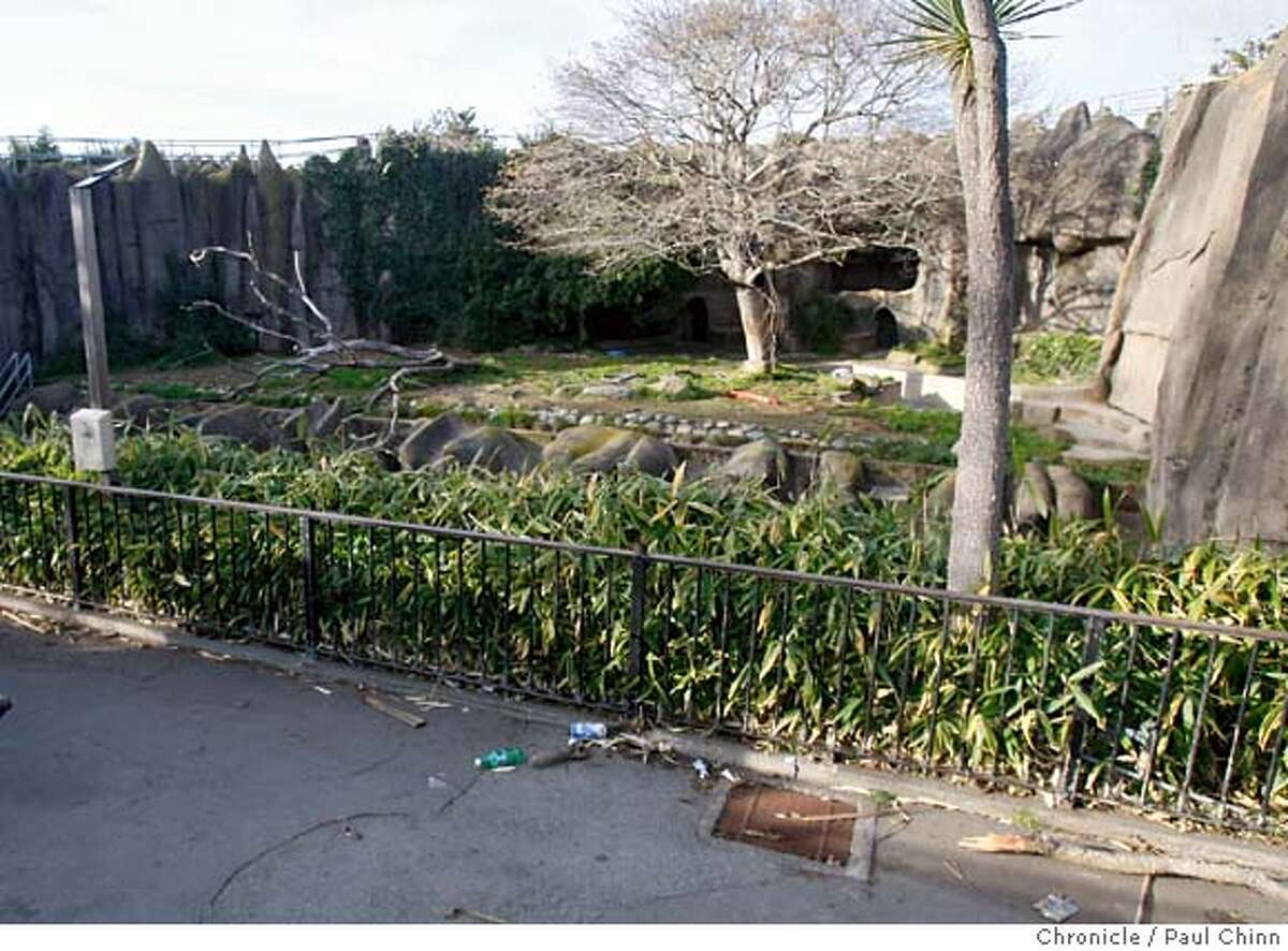 S.F. Zoo visitor saw 2 victims of tiger attack teasing lions