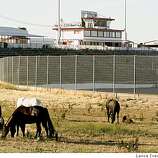 R.I.P. Altamont Raceway - SFGate