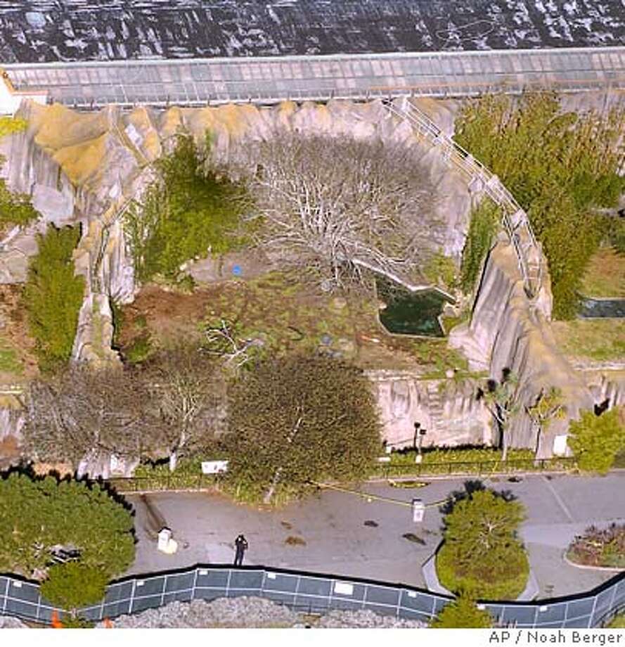 Tiger grotto wall shorter than thought, may have contributed to escape ...