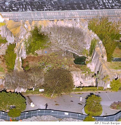 Tiger grotto wall shorter than thought, may have contributed to escape ...