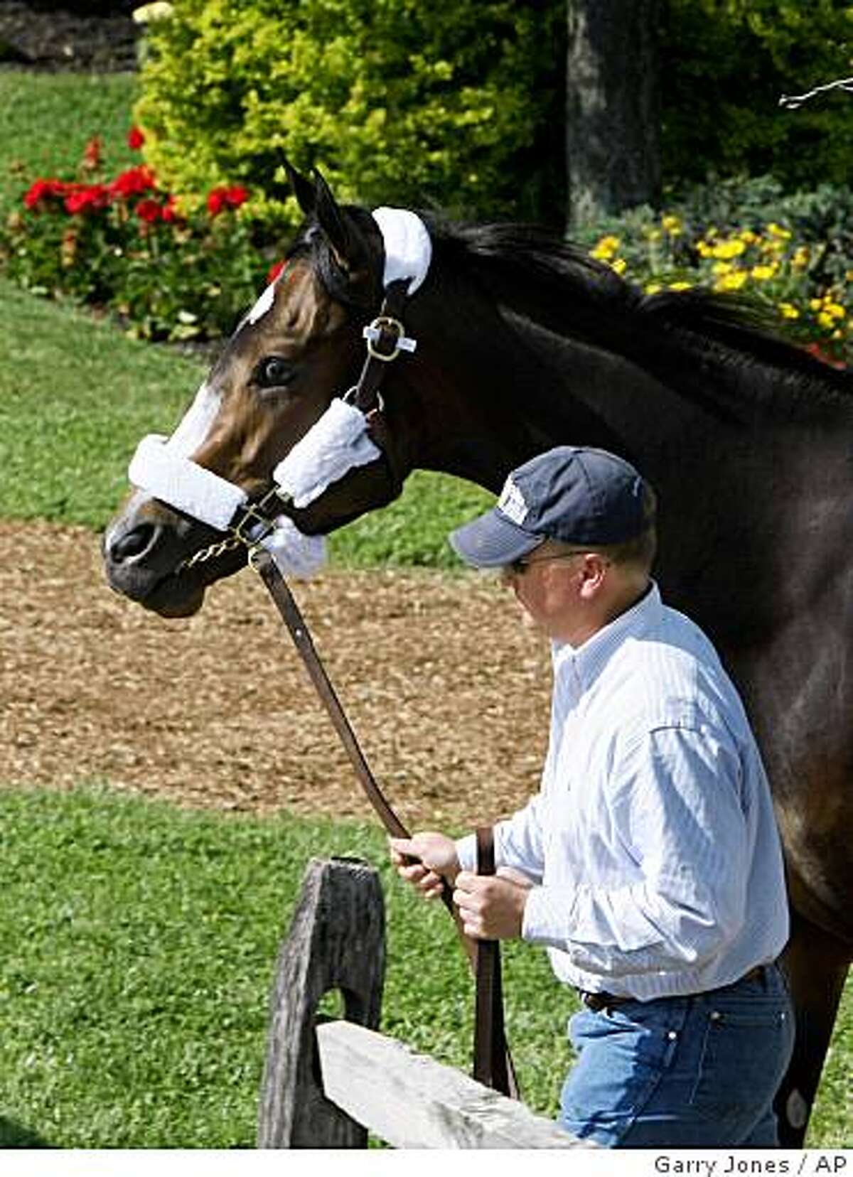 Rachel Alexandra is favorite for Preakness